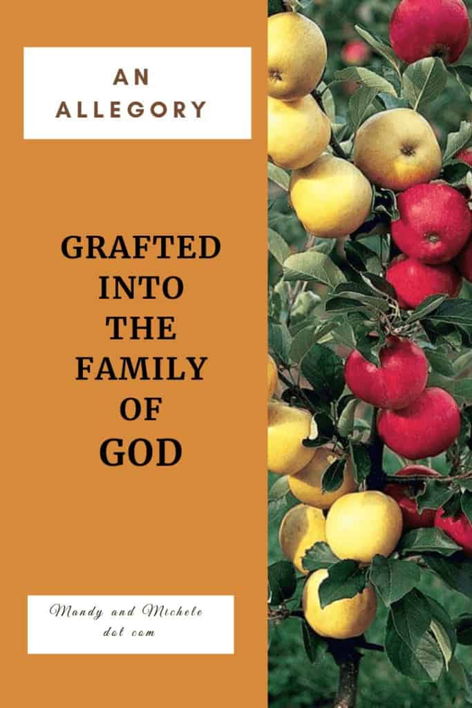 Grafted Into God's Family and Producing Fruit - Mandy and Michele LinkUp