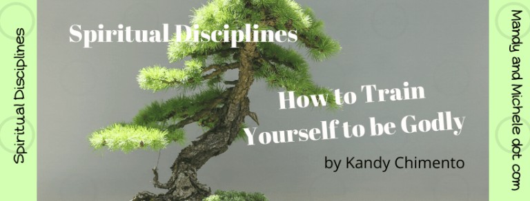 How to Train Yourself to be Godly - Mandy and Michele