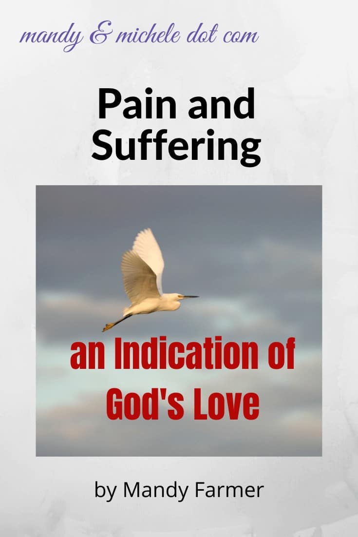 Pain and Suffering: An Indication of God's Love - Devotion by Mandy