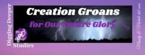 All Creation Groans For Our Future Glory - by Mandy Farmer