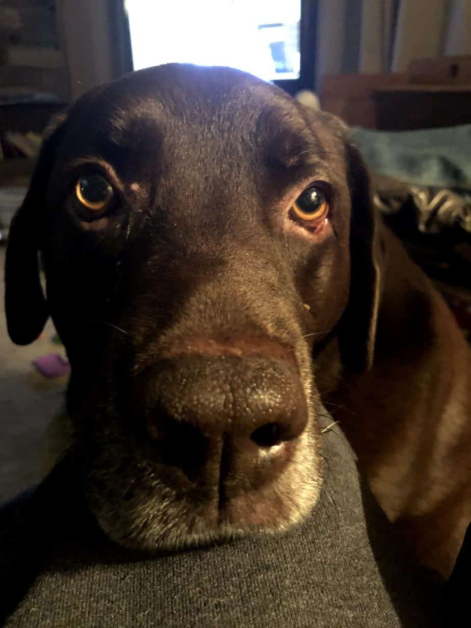 Whole Creation Groans - Mandy and Michele